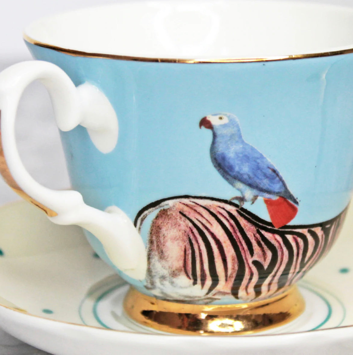 Teacup Zebra
